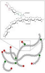 O que é Glicogênio: metabolismo, síntese, estrutura - Planeta Biologia