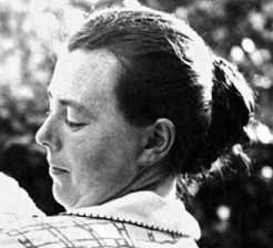 A Embriologia e a Expressão Gênica - Planeta Biologia